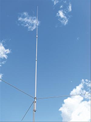 Diamond Antenna CP610 Diamond Antenna CP610 Dual-Band Vertical Antennas ...
