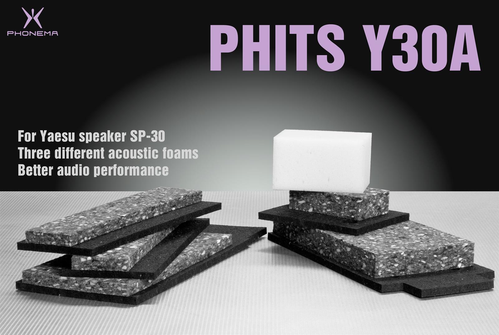 Phonema Speakers Y30A Phonema PHITS Acoustic Modification Kits | DX ...