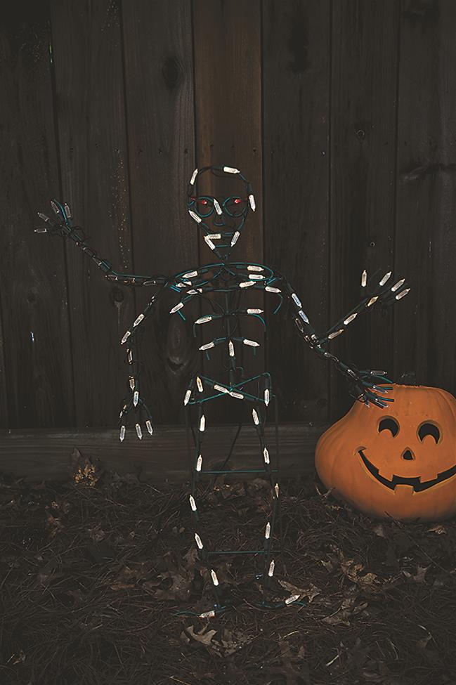 Summit Gifts 90075 Dancing Skeleton Animotion Light Display | DX ...